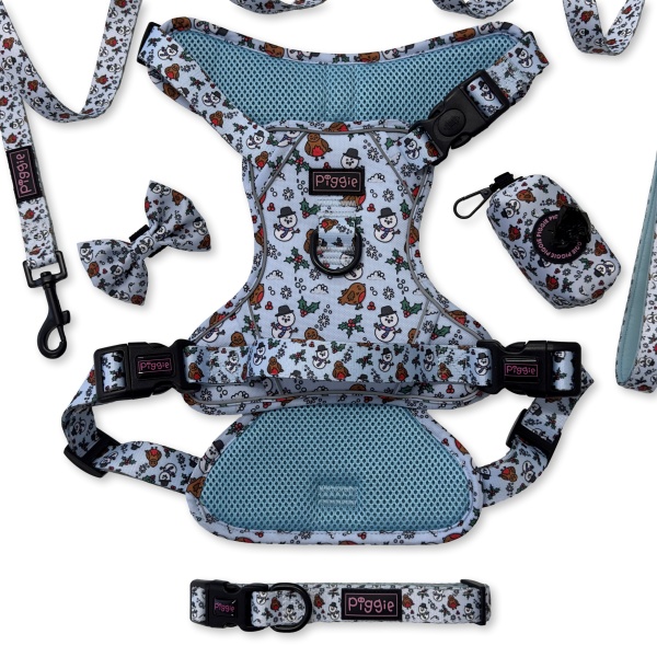 Mr Robin Explorer Dog Harness - RichPaw