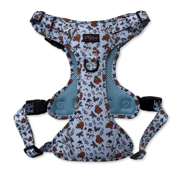 Mr Robin Explorer Dog Harness - RichPaw