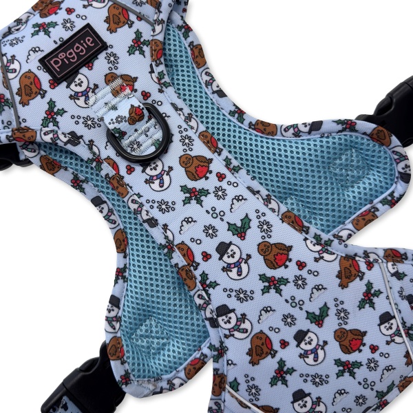 Mr Robin Explorer Dog Harness - RichPaw