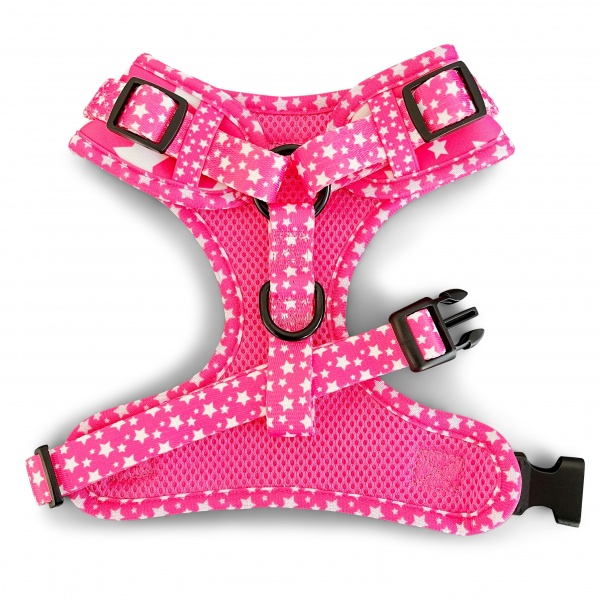 Shining Star-Pup Dog Harness - RichPaw