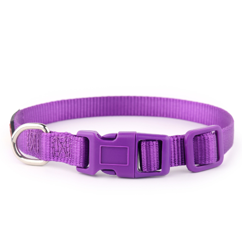 Essential Purple Dog Collar - richpaw.co.uk/