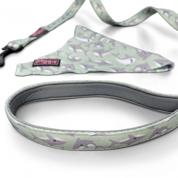 Barky Sharky Dog Collar - RichPaw