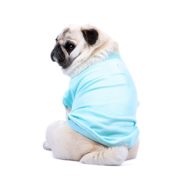 Cyan Dog T-Shirt - RichPaw