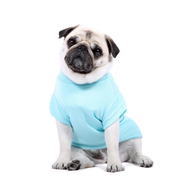 Cyan Dog T-Shirt - RichPaw