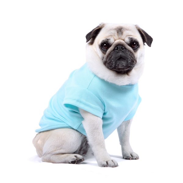 Cyan Dog T-Shirt - RichPaw