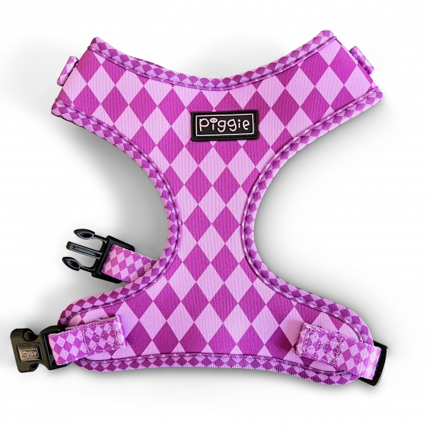 Diamonds Are a Dawgs Best Fren Harness Bundle - RichPaw