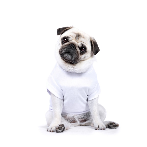 White Dog T-Shirt - RichPaw