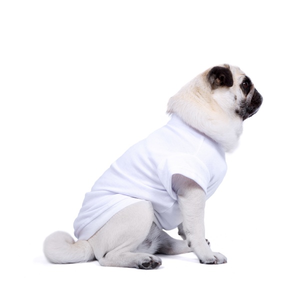 White Dog T-Shirt - RichPaw